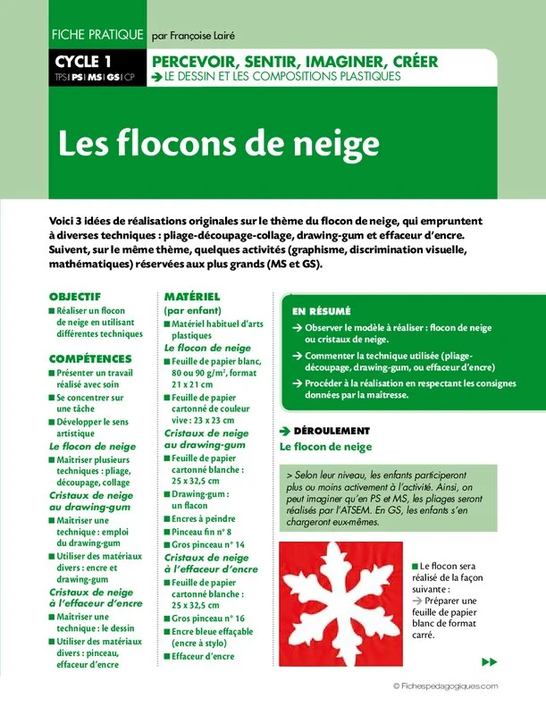Les flocons de neige