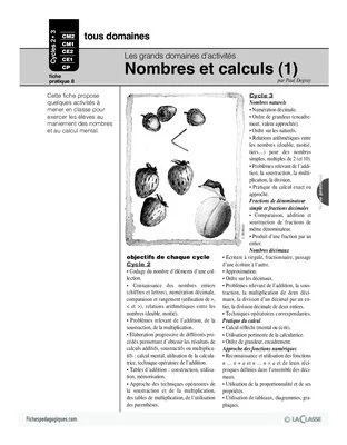 Nombres et calculs (1) / Grands domaines d'activités
