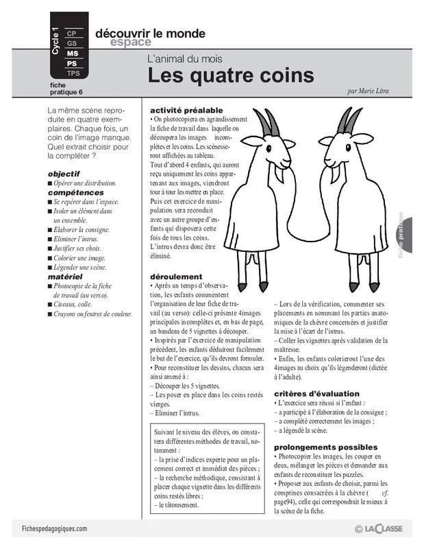 La chèvre (6)